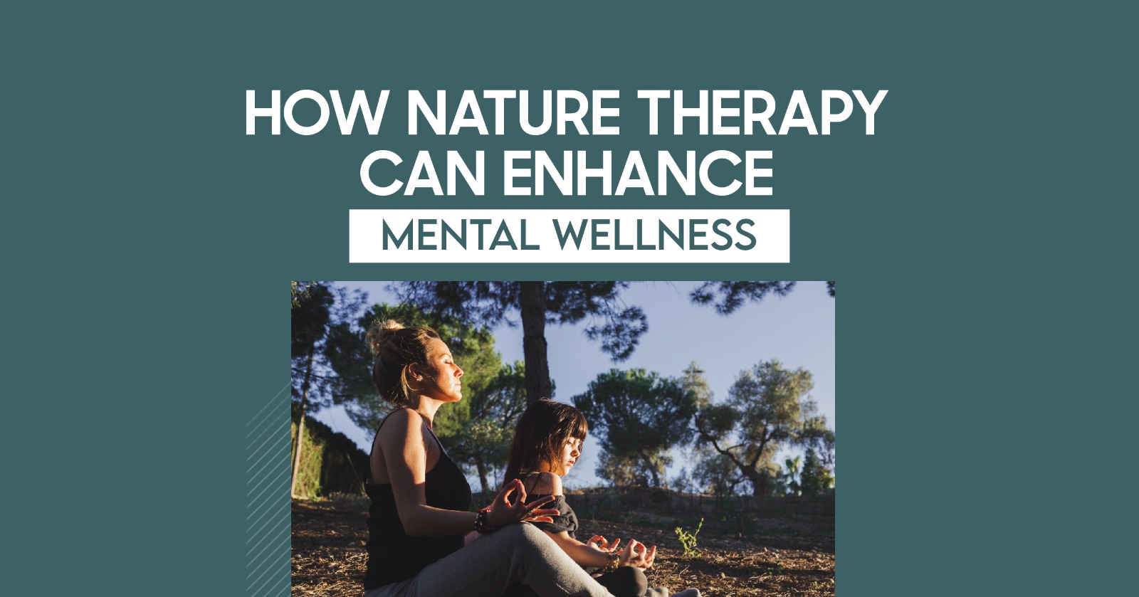 Nature Therapy For Mental Health: Proven Benefits
